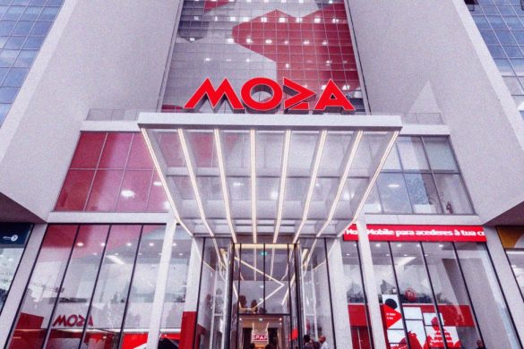 Maputo acolhe celebrações o Dia Mundial da Abelha - Jornal Notícias