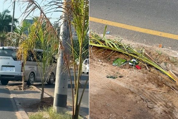 Arranca hoje em Azerbeijão o Fórum Urbano Mundial - Jornal Notícias