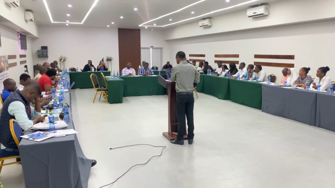 Sociedade Civil alerta para excessiva dependência do gás em Moçambique ...